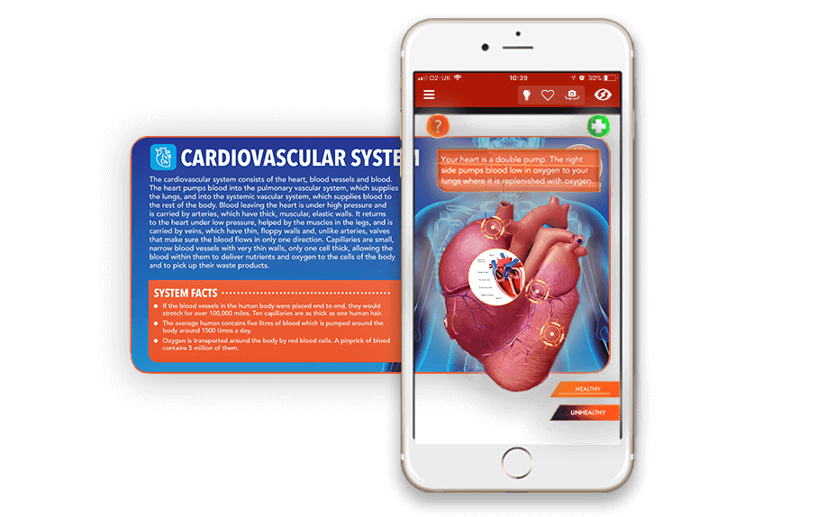 Augmented Reality in Education: Benefits & Examples | Program-Ace